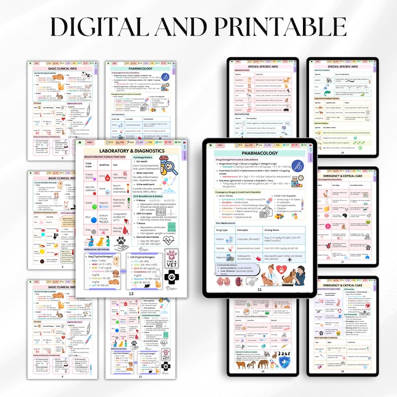 25+ Vetnerinary Tech Cheat Sheets, Bonus Soap Notes Template ...