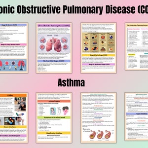 Respiratory System Bundle 51 Pages | Med Surg Nursing Study | Instant ...