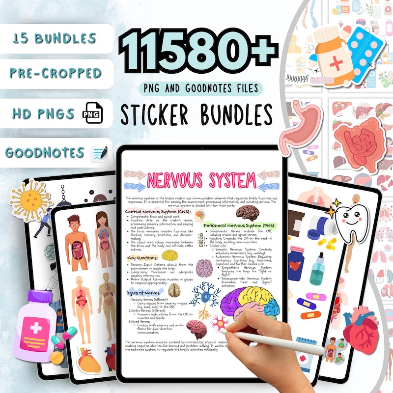 Anatomy Stickers Human Body - Etsy