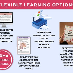 Anatomy & Physiology Bundle With Flashcards and Stickers | Anatomy ...