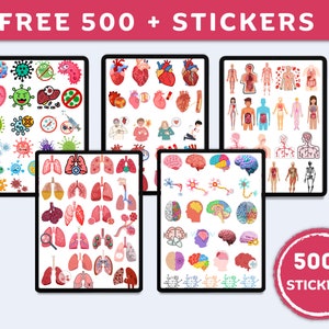 Anatomy & Physiology Bundle With Flashcards and Stickers - Etsy UK