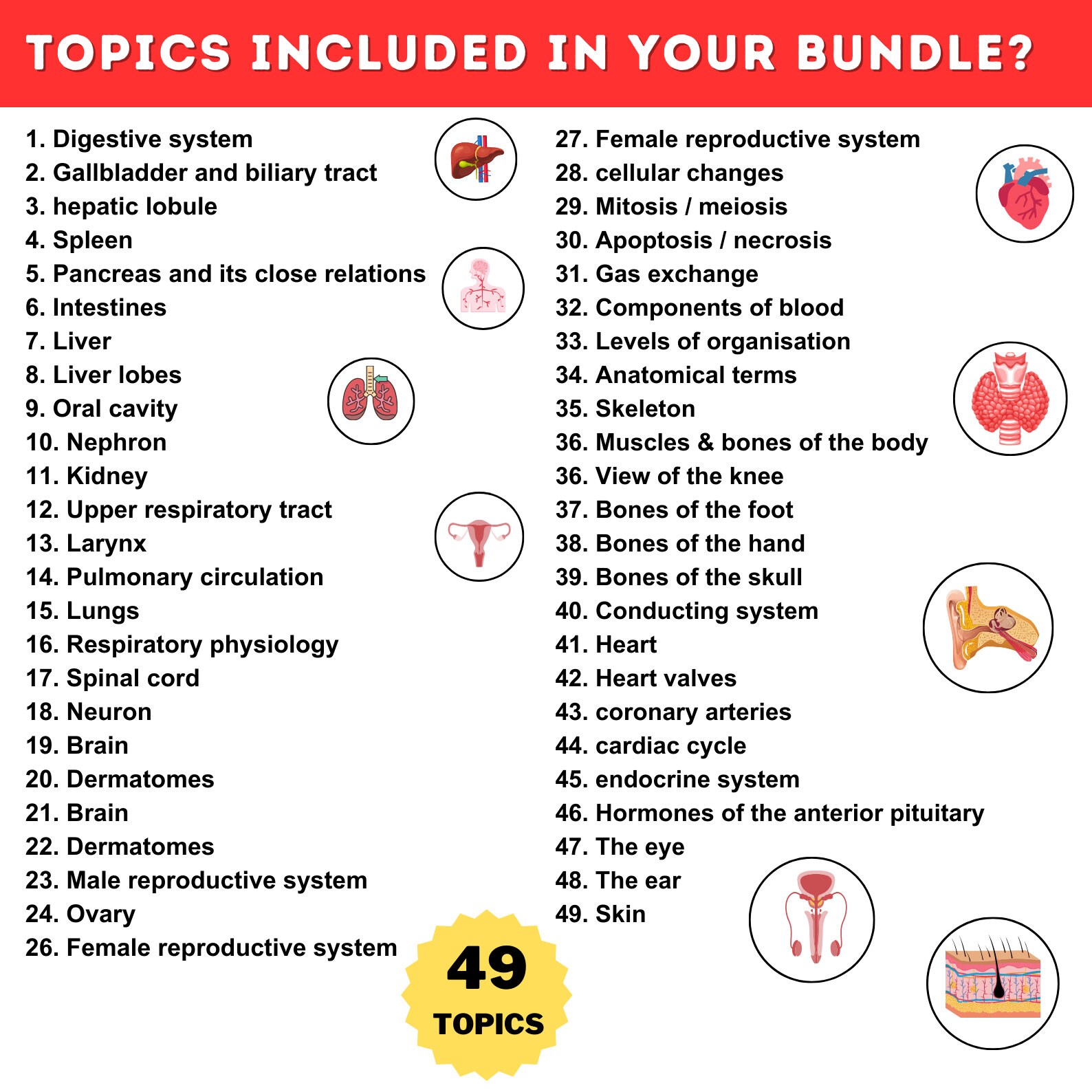 Anatomy & Physiology Flashcards | 49 Topics or 101+pages | Nursing ...