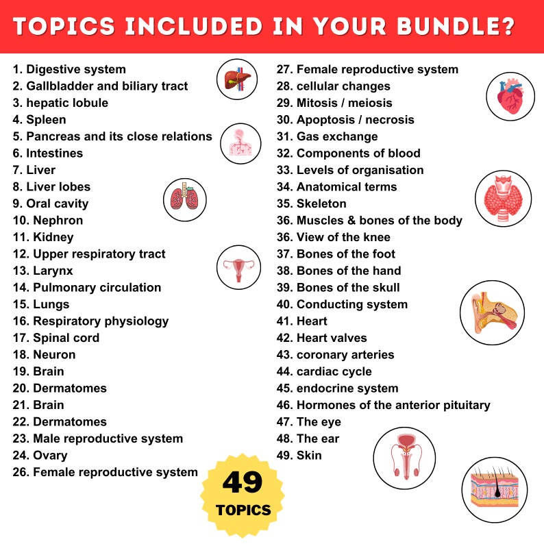 Anatomy & Physiology Flashcards | 49 Topics or 101+pages | Nursing ...