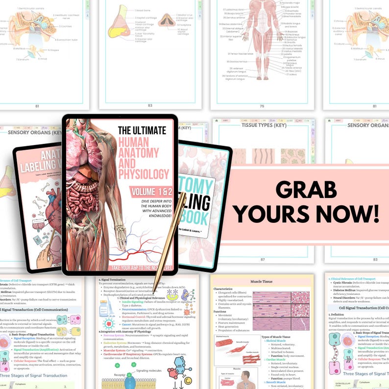 Anatomy and Physiology Master Study Pack | Printed A&P Vol 1 and 2 ...