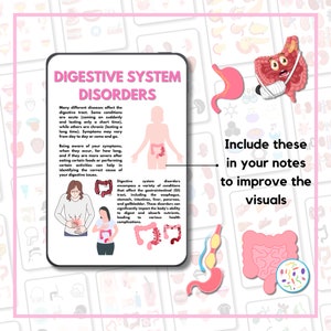 Digestive System Svg’s 1000 Bundle | Human Body SVG | Nursing Stickers ...