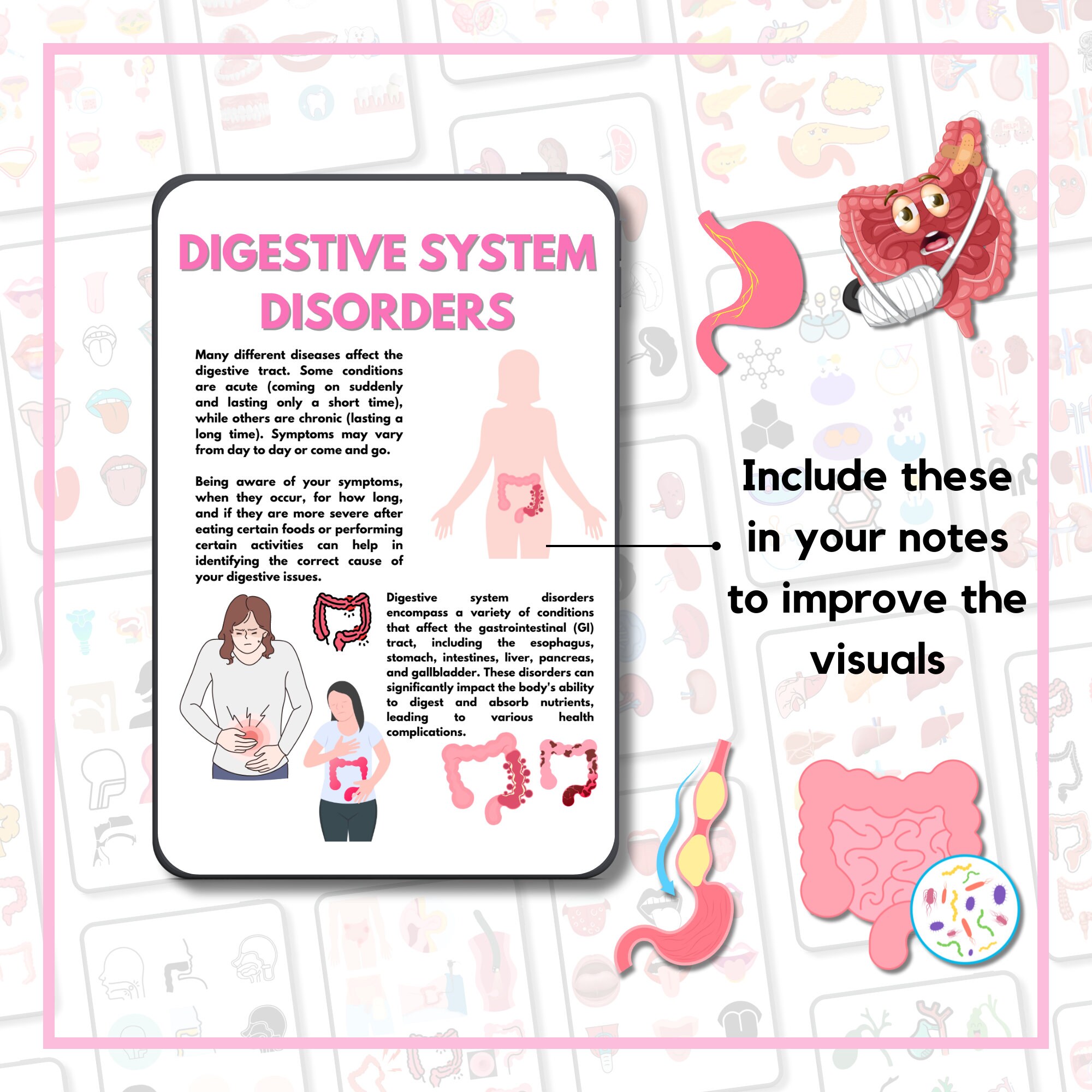 Digestive System Svg’s 1000 Bundle | Human Body SVG | Nursing Stickers ...