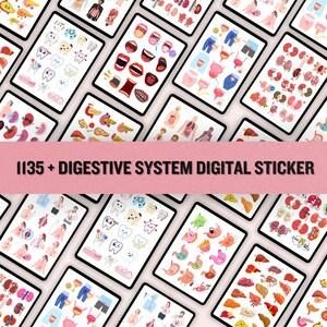 Digestive System Sticker | Human Body Stickers | Nursing Stickers ...