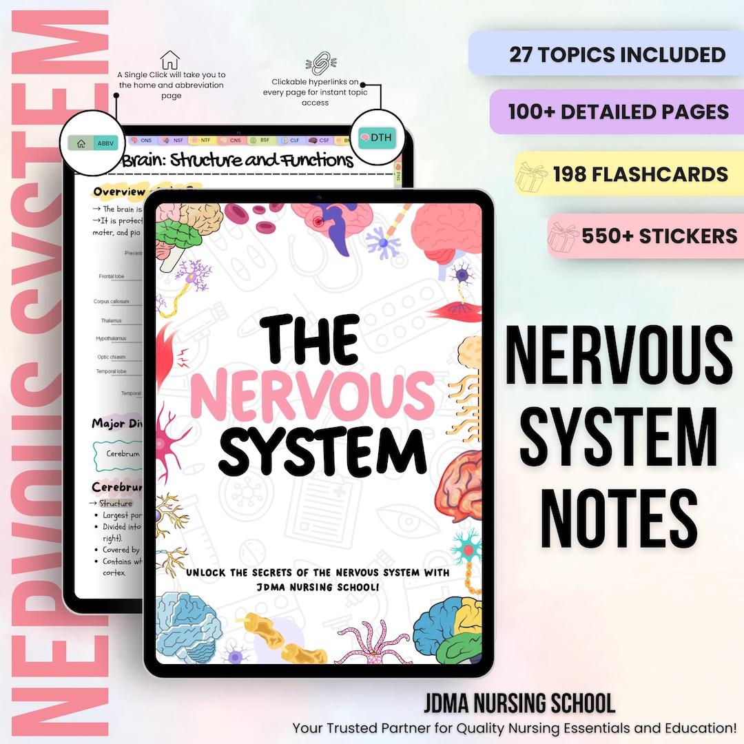 Nervous System Notes Hyperlinked, Bonus Flashcards Stickers Study Tips ...