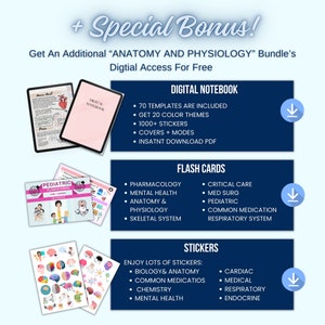Nursing Mastery Bundle 326+pages | Nursing School Book | Printable ...