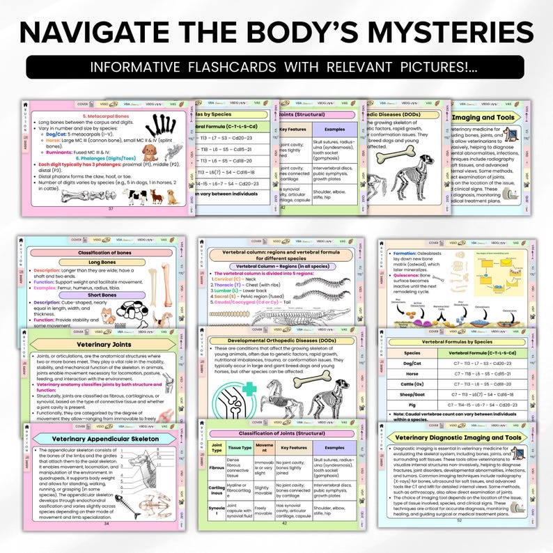Veterinary Skeletal System Flashcard, 8+ Topics, 5 Bonus Cover Pages ...