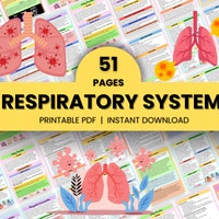Respiratory System Flashcards: Med Surg Nursing Study (PDF File) - Etsy