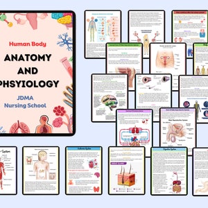 Anatomy & Physiology Bundle With Flashcards and Stickers - Etsy UK
