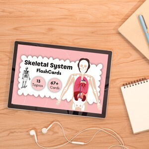 Skeletal Flashcards | Skeletal System Flashcards | Study Guide ...