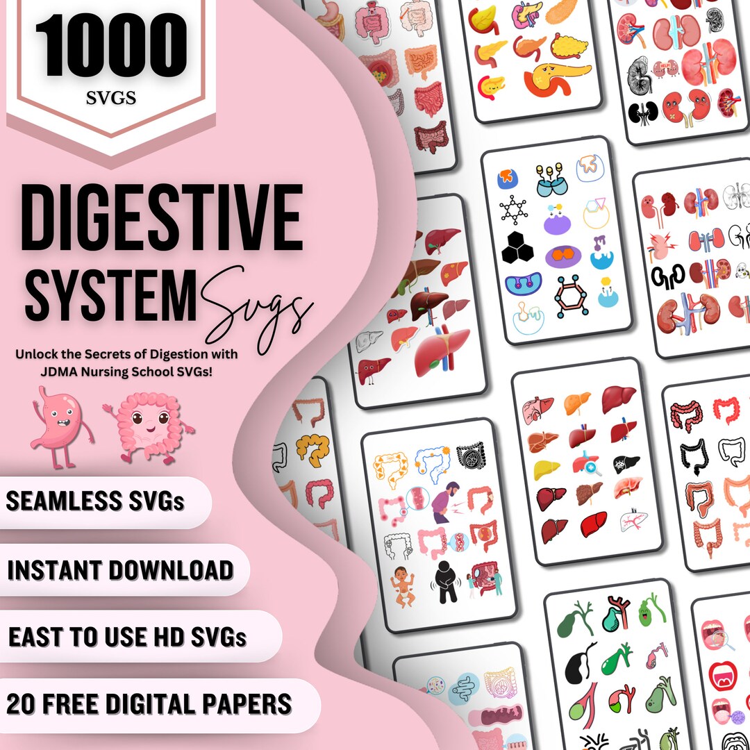 Digestive System Svg’s 1000 Bundle | Human Body SVG | Nursing Stickers ...
