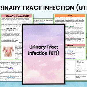 Urinary Disorder | Renal System Study Guide | Nursing Notes | Digital ...