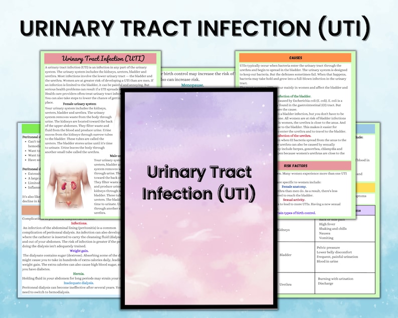 Urinary Disorder Renal System Study Guide Nursing Notes - Etsy