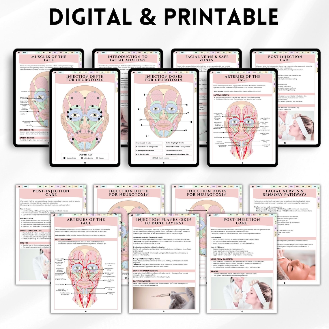 Aesthetic Nurse Injector Anatomy Guide | Facial Anatomy for Injectors ...
