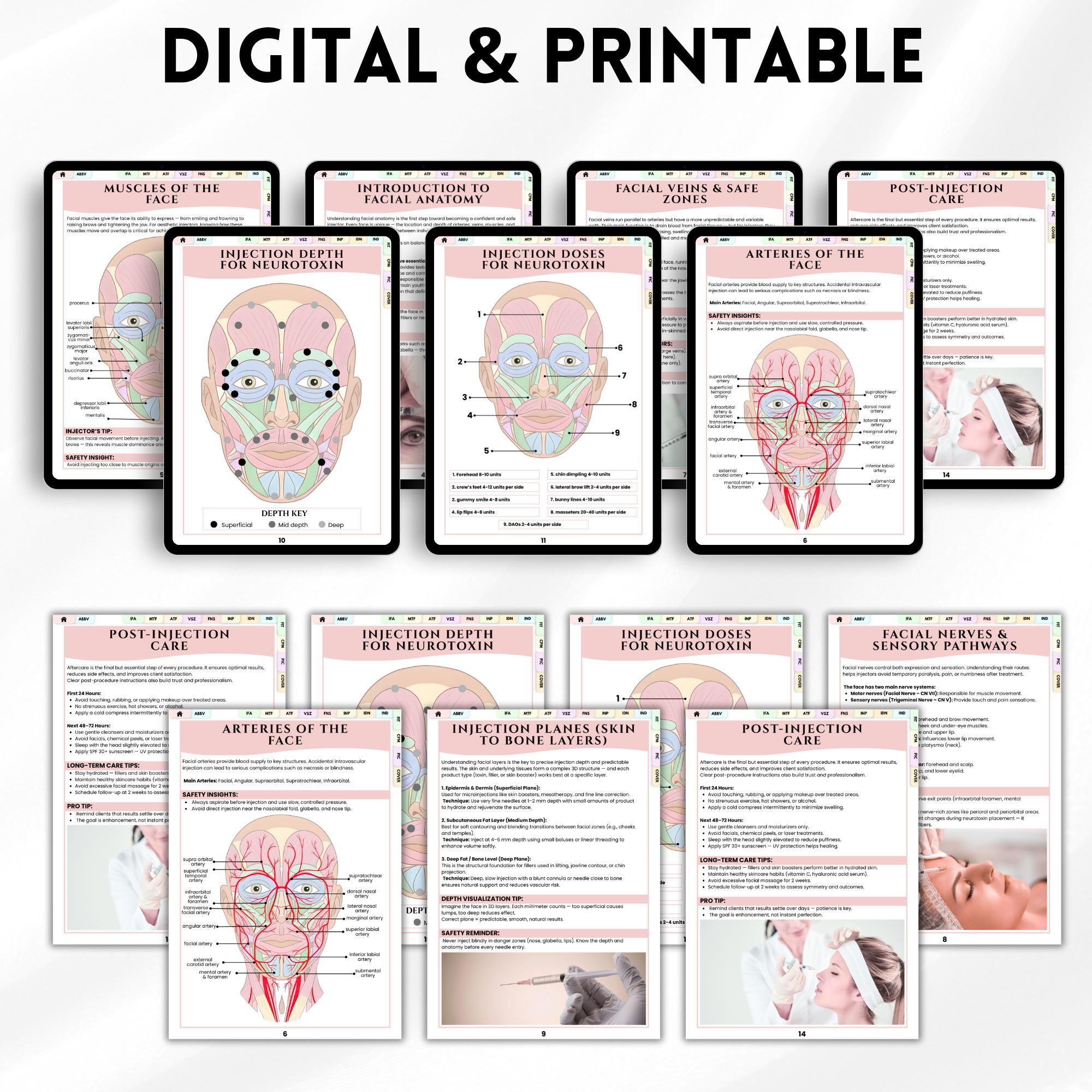 Aesthetic Nurse Injector Anatomy Guide | Facial Anatomy for Injectors ...