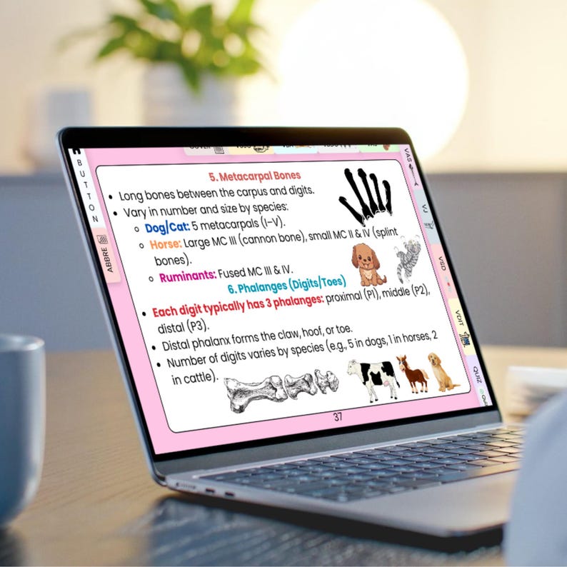 Veterinary Skeletal System Flashcard, 8+ Topics, 5 Bonus Cover Pages ...