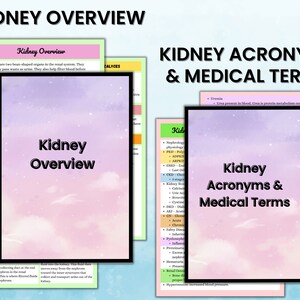 Urinary Disorder | Renal System Study Guide | Nursing Notes | Digital ...