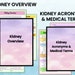 Urinary Disorder | Renal System Study Guide | Nursing Notes | Digital ...
