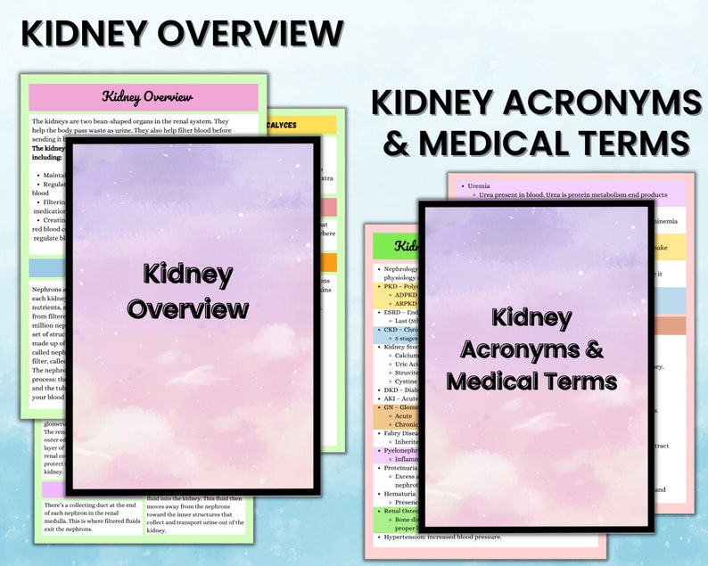 Urinary Disorder | Renal System Study Guide | Nursing Notes | Digital ...