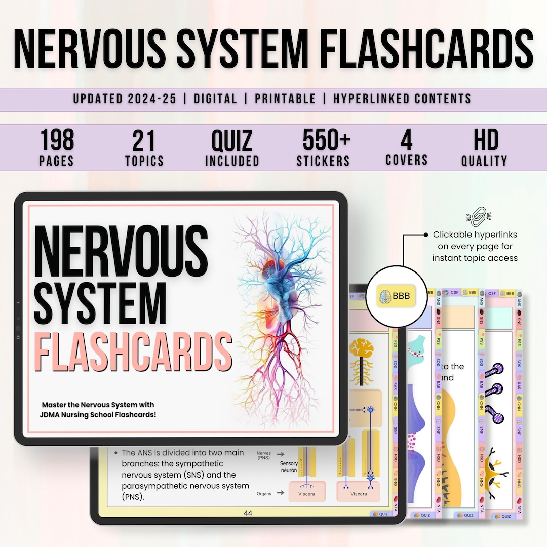 Nervous System Flashcards Hyperlinked, Med Surg Notes, Anatomy of Brain ...