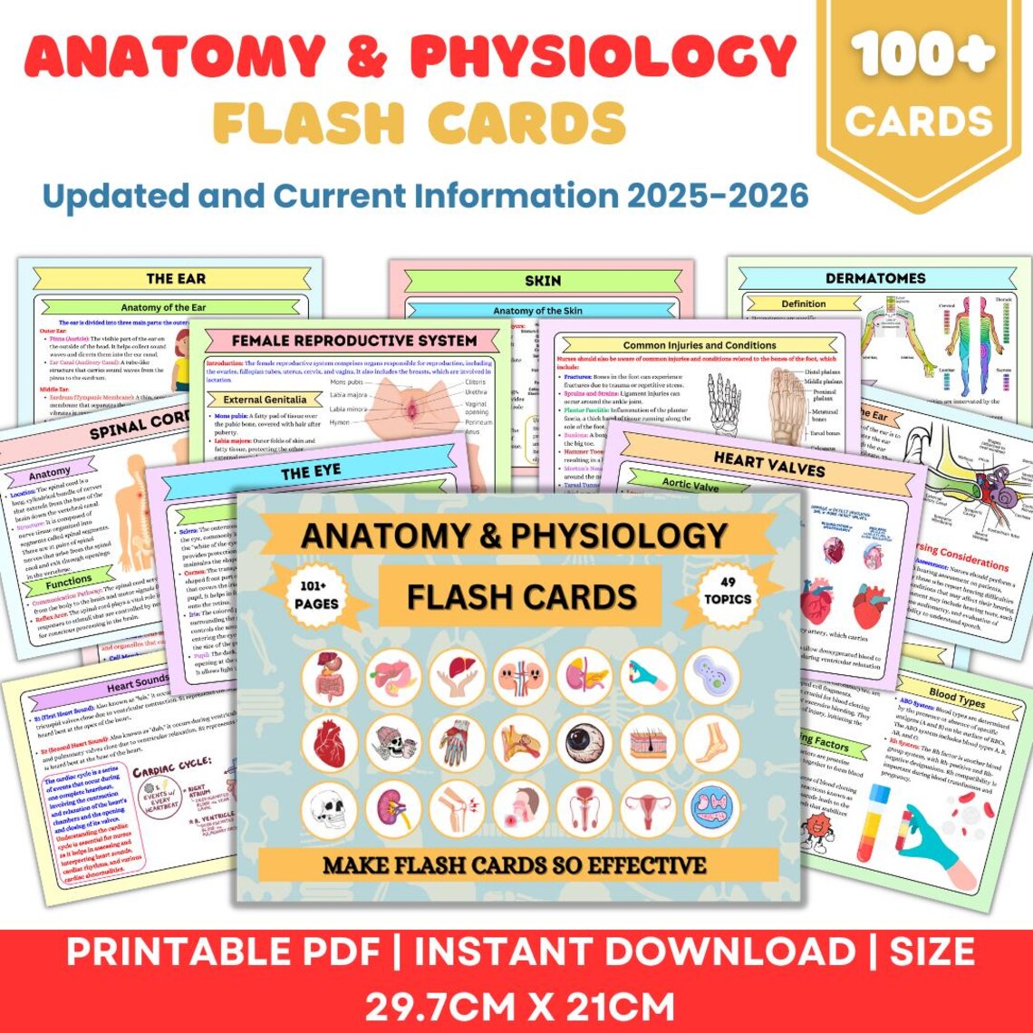 Anatomy & Physiology Flashcards | 49 Topics or 101+pages | Nursing ...