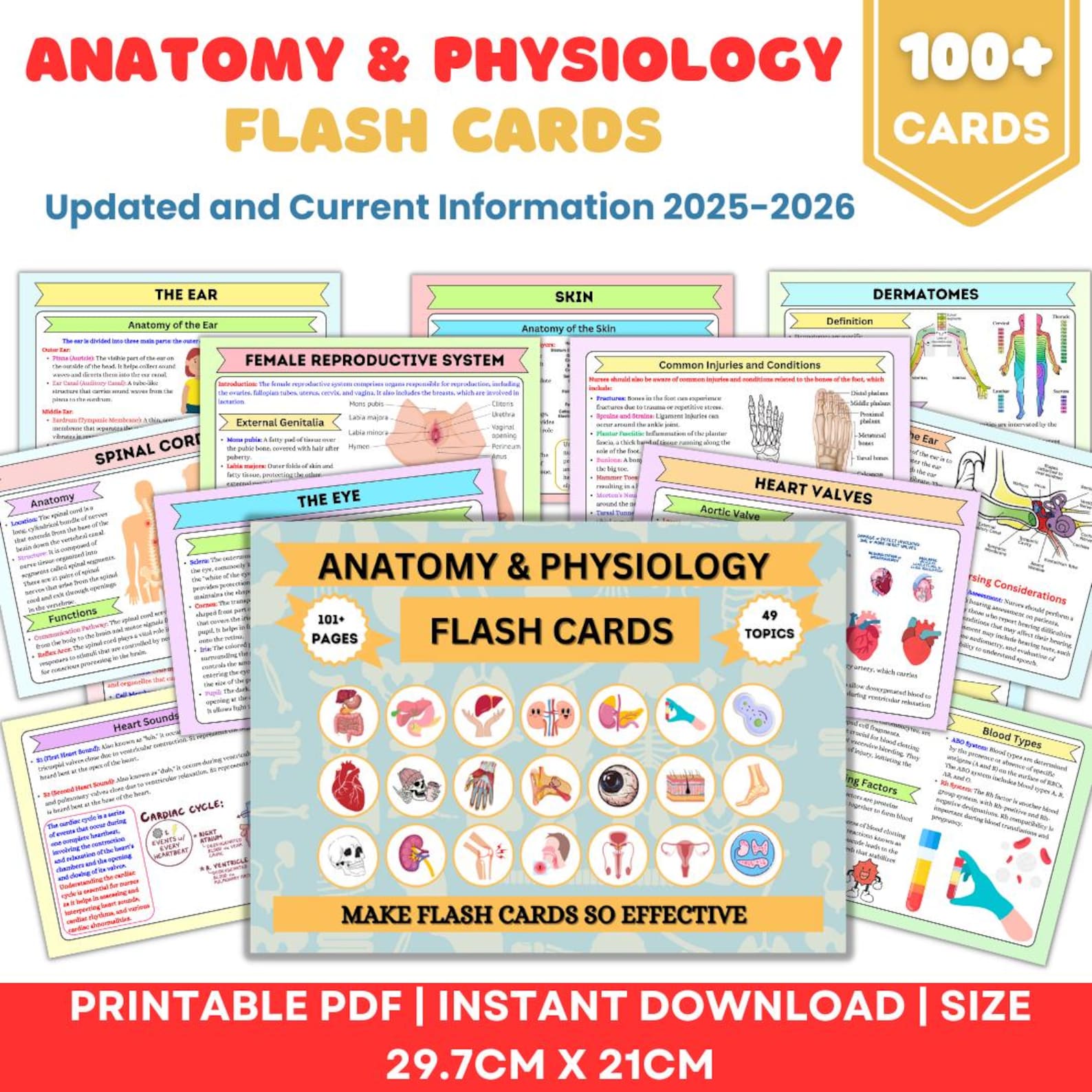 Anatomy & Physiology Flashcards | 49 Topics or 101+pages | Nursing ...