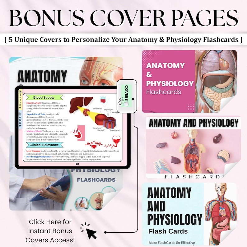 Anatomy & Physiology Flashcards 49 Topics or 235+pages With Free Cover ...