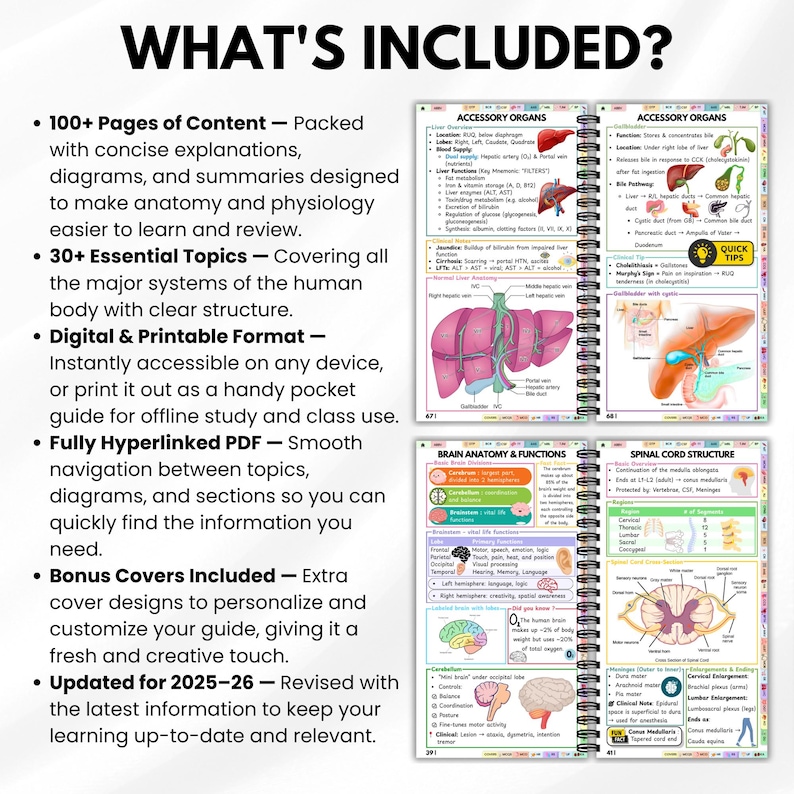 Anatomy and Physiology Pocket Guide, Medical Study Guide, Nursing ...