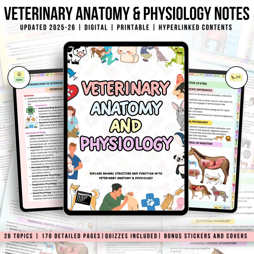 168+ Veterinary Anatomy & Physiology Bundle With Hyperlinked, Anatomy ...