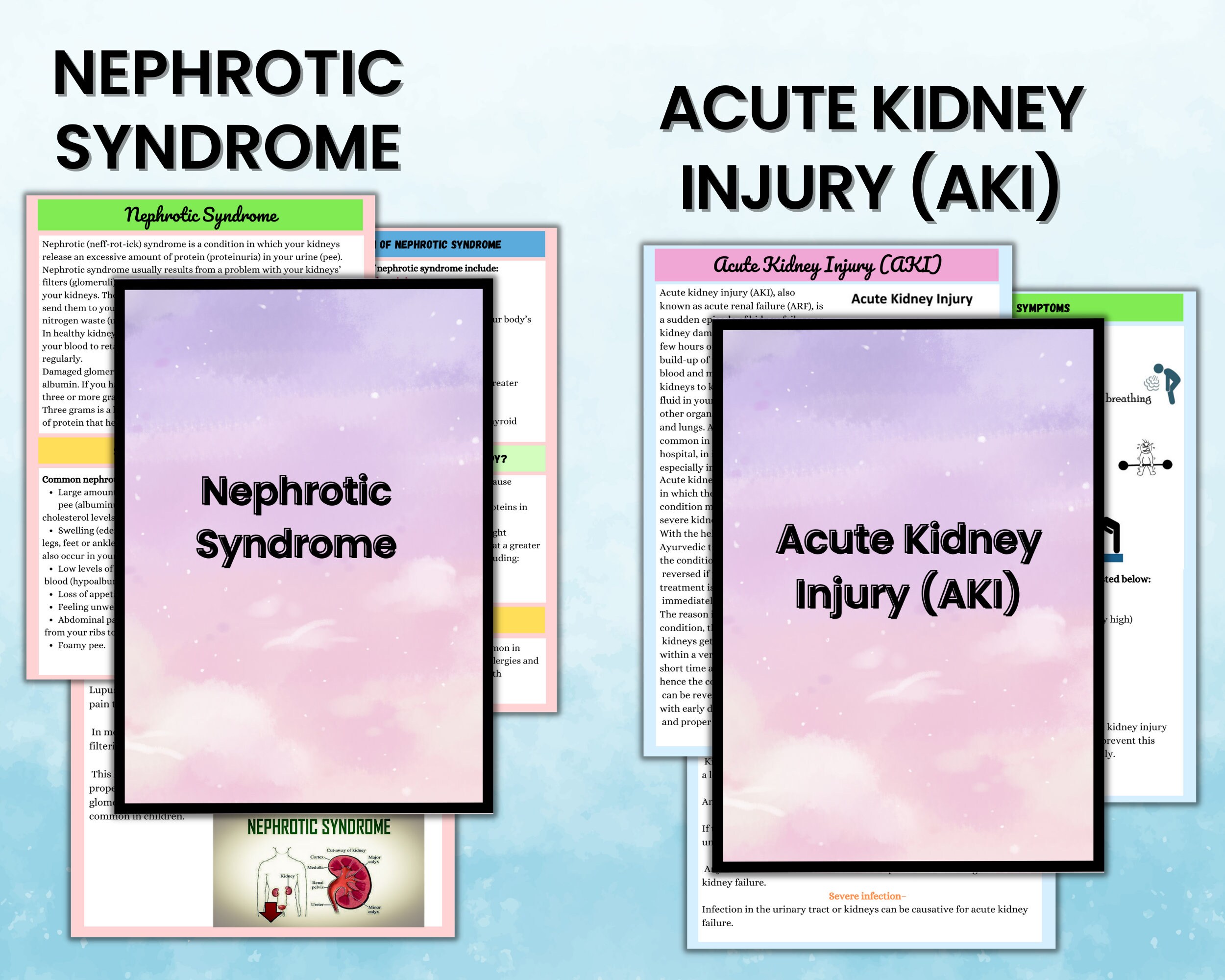Urinary Disorder | Renal System Study Guide | Nursing Notes | Digital ...