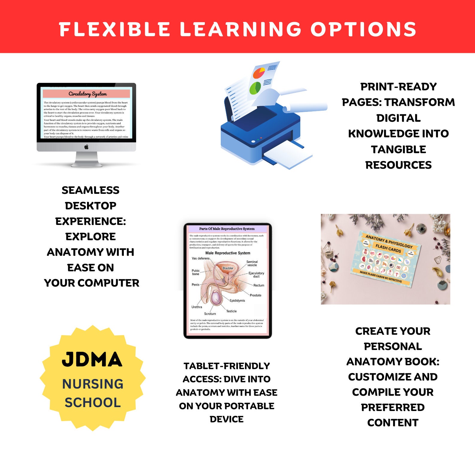 Anatomy & Physiology Flashcards | 49 Topics or 101+pages | Nursing ...