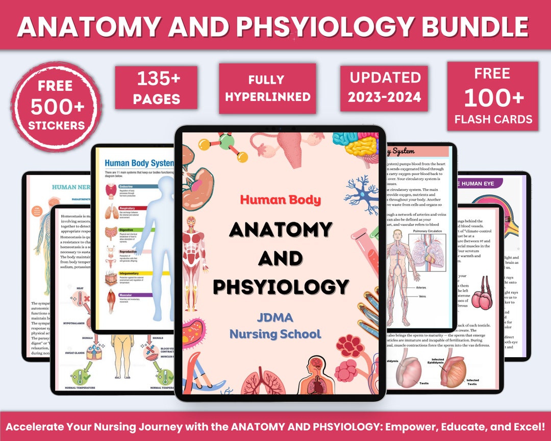 Anatomy & Physiology Bundle With Flashcards and Stickers - Etsy UK