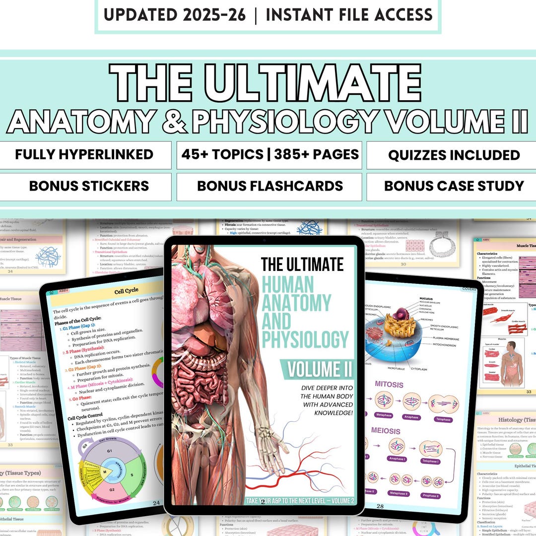 Anatomy & Physiology Volume 2 Hyperlink Bundle With Flashcards and ...
