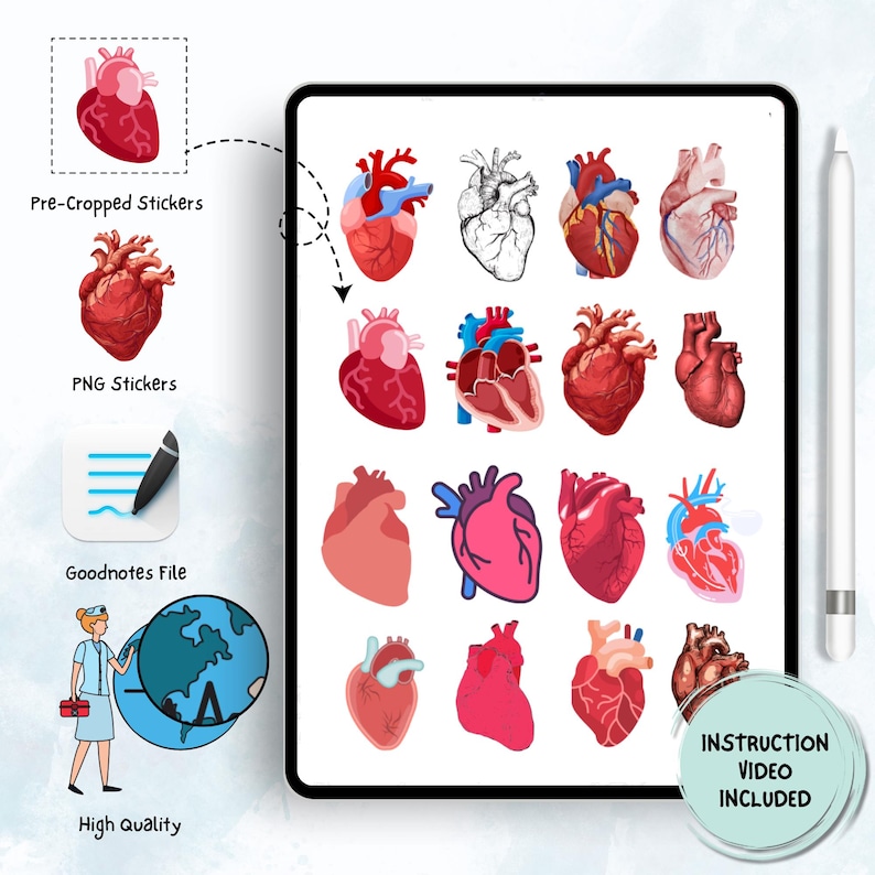 11580+ Medical Stickers Mega Bundle | Goodnotes Stickers | Nurse ...