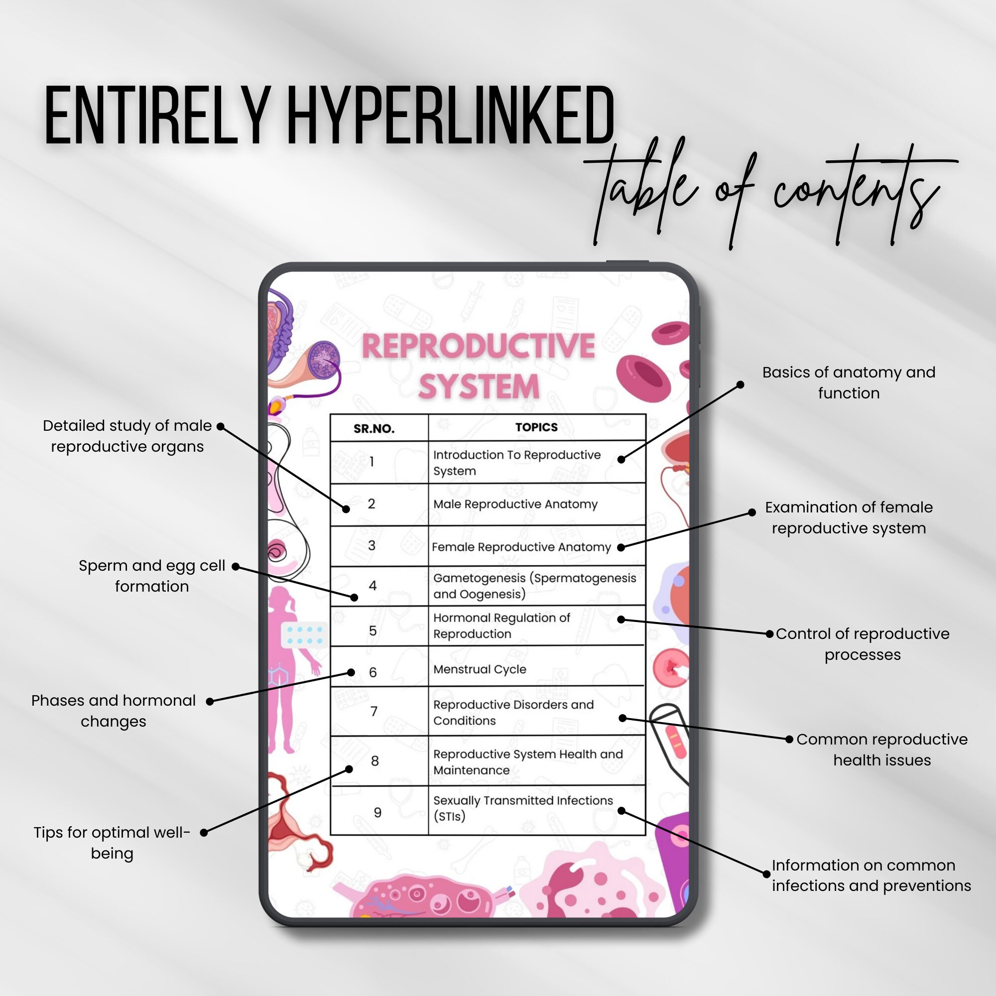 Reproductive System Notes Fully Hyperlinked 30+ Sheets | Study Guide ...