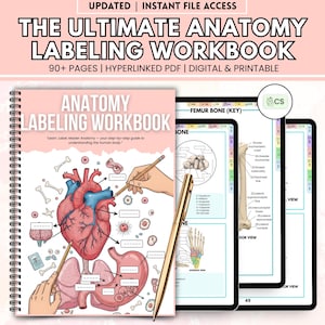 Human Anatomy Labeling Workbook Digital - Etsy
