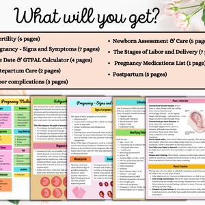 Ob Maternity Bundle | Nursing OB | 50 Pages | PDF Digital Download ...