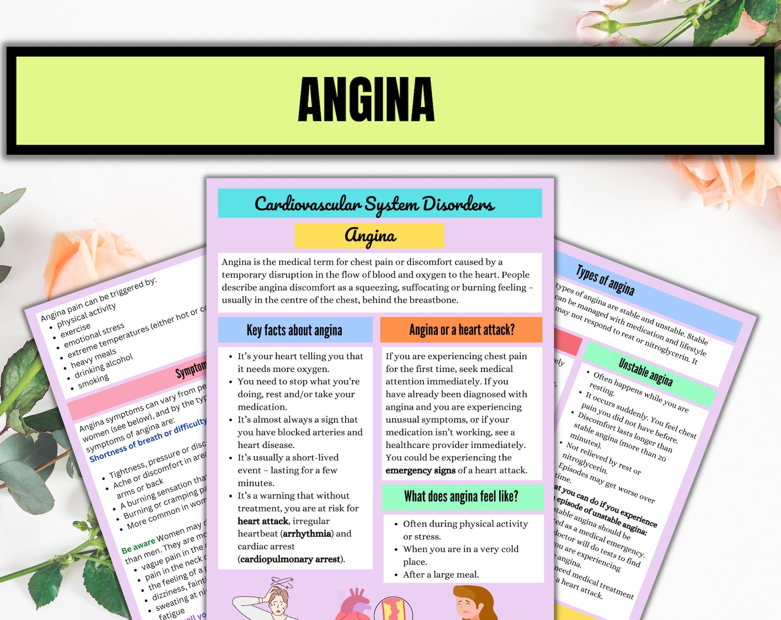 Cardiovascular System | Anatomy Notes | Instant Download | Cardiac ...