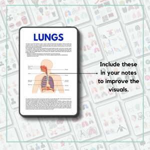 Respiratory System Sticker Bundle Pre-cropped | Sticker Bundle 700 ...