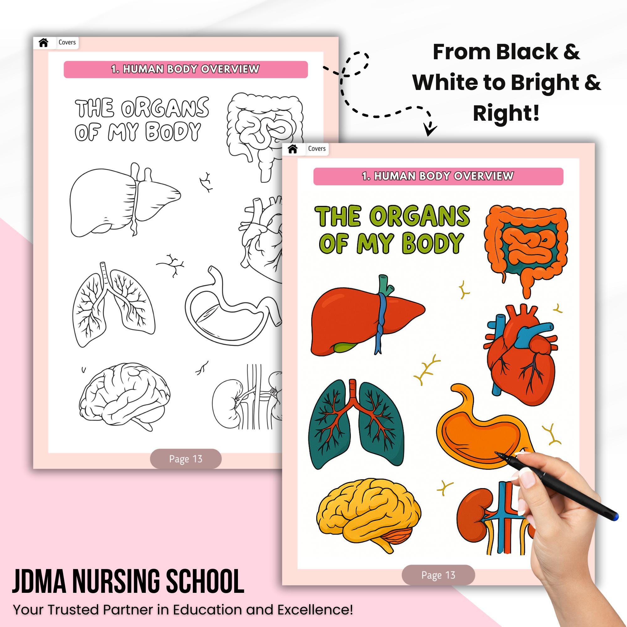 Human Anatomy Coloring Book, Anatomy Study Aid, Body Systems Coloring ...