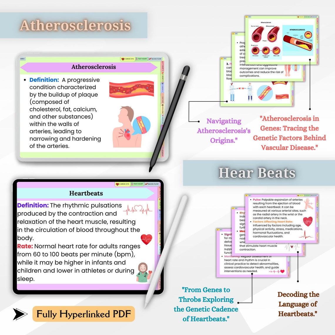 Cardiovascular System Flashcards Hyperlinked PDF | Nursing School ...