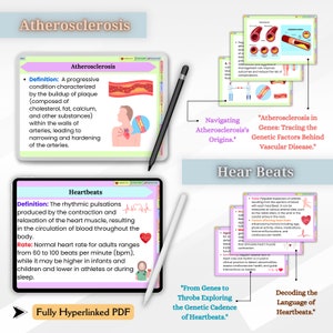 Cardiovascular System Flashcards Hyperlinked PDF | Nursing School ...