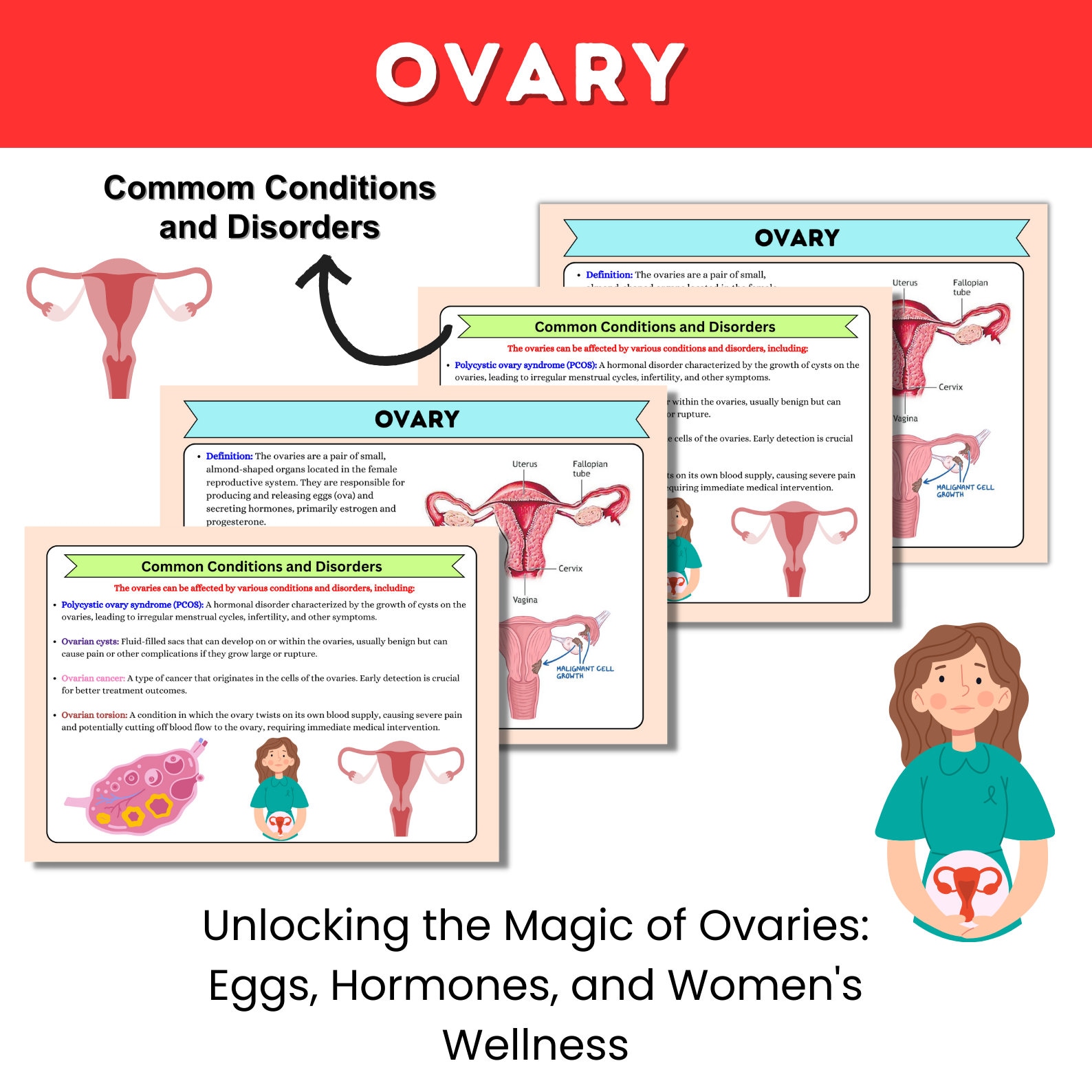 Anatomy & Physiology Flashcards | 49 Topics or 101+pages | Nursing ...