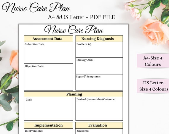 Nurse Care Plan Nursing Notes Printable Sheet Care Plan - Etsy