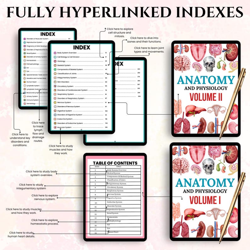 Anatomy & Physiology Mega Bundle With Flashcards Stickers Quizzes and ...