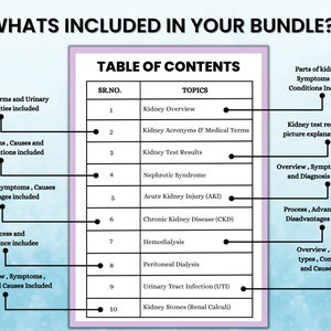 Urinary Disorder | Renal System Study Guide | Nursing Notes | Digital ...