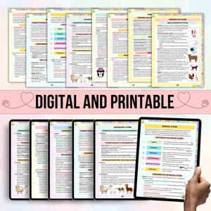 168+ Veterinary Anatomy & Physiology Bundle With Hyperlinked, Anatomy ...